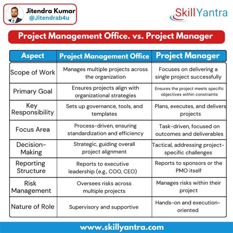 Projectmanagement Pmo Projectmanager Leadership Execution