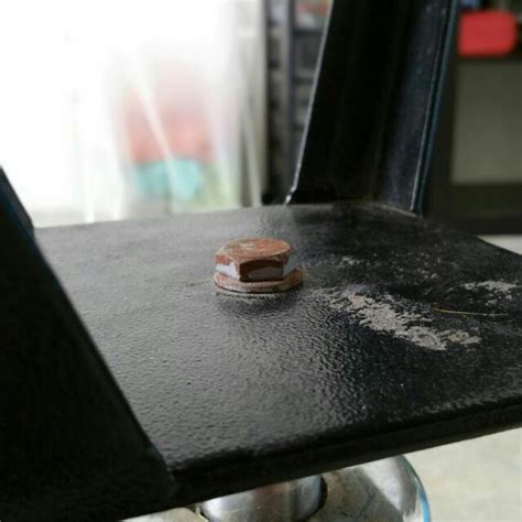 Grooming Table Pet Supplies Health Grooming On Carousell