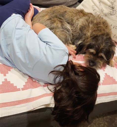 Shawn Killinger Qvc Happy National Napping Day Such A Ruff Life😂