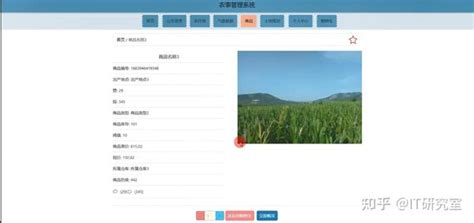 Java项目怎么做？农事管理系统 Java项目实战 知乎