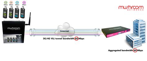 Cellular And Portable Wan Bonding Router Portabella Al Maria
