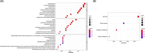 Go And Kegg Enrichment Analyses Ab Results Of Go And Kegg Download Scientific Diagram