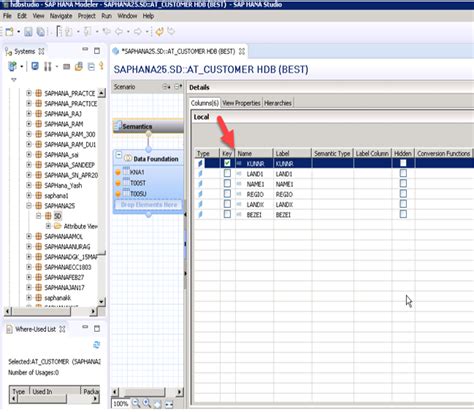 Implementing Attribute View With Customer Sap Community