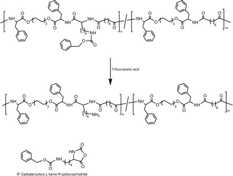 Random Poly Ester Amide S With Functional Amine Groups From N Download Scientific Diagram