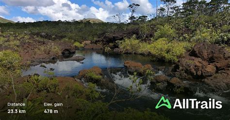 Loops Of Netcha Trail 5 Of The Rivière Des Lacs South New Caledonia