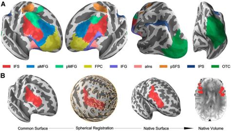 Frontoparietal Representations Of Task Context Support The Flexible