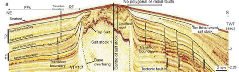 Arbitrary Seismic Line Intersecting E And E Flank Of Salt Stock 1and