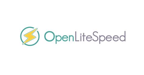 What Is Litespeed Web Server Explained In Simple Terms