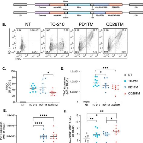 Chimeric Pd 1 Receptor Confers Enhanced Fitness To Truc T Cells During Download Scientific