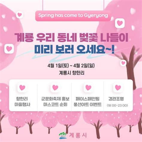 계룡시청 계룡 우리동네 벚꽃 나들이 🌸 이번 주말 사랑하는 사람과 계룡에서 꽃구경 어떠세요~ 😚