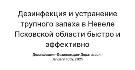 Дезинфекция и устранение трупного запаха в Невеле Псковской области