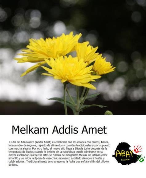 Melkam Addis Amet Baga Waggaa Haaraa Geessan Asociación Abay