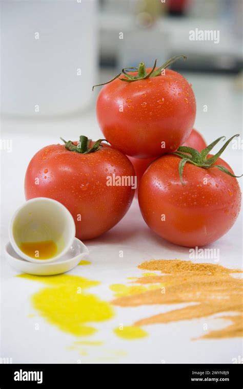 Research And Development Laboratory Functional Biomolecules In Food Extraction Tomatoe Extract