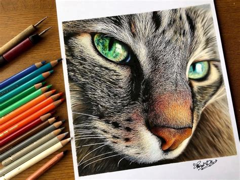 Feline Faces Get A Close Up In Amazing Hyperrealistic Drawings