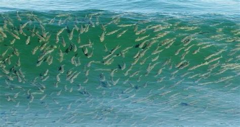 항해99 99클럽 코테 스터디 29일차 Til