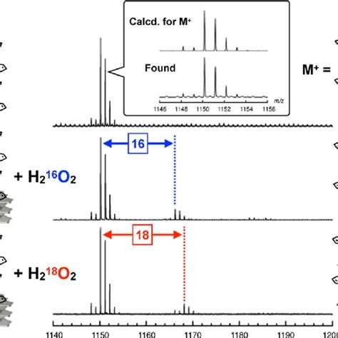 Maldi Tof Ms Spectra Of A 1 Hopg B H 2 16 O 2 Treated 1 Hopg And Download Scientific