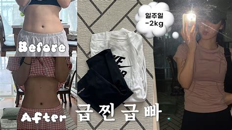 Vlog 아직 여름 안끝났거든요급찐급빠 다이어트구독자이벤트 있음♥︎168 간헐적단식식단기록운동루틴사과식초 만들기