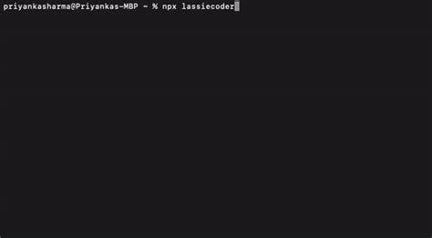 Npx Lassiecoder In Your Terminal Peerlist