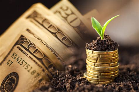 Sustainable Finance Microcertificate Harvard Division Of Continuing