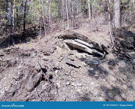 Naked Rock In The Forest Stock Image Image Of Nature