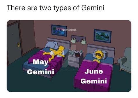 Zodiac Memes 30 Gemini Wit Sparkles Like Stardust