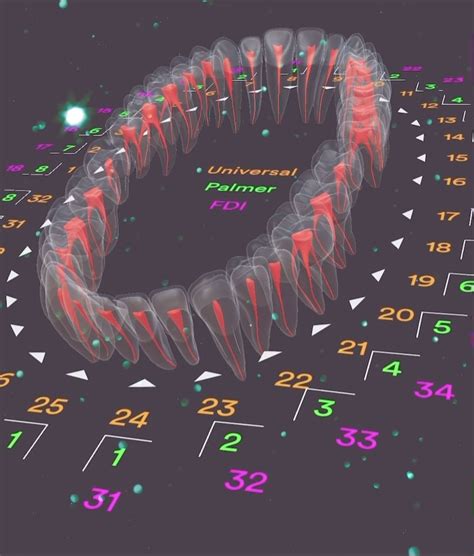 김세일 치과 💡 임플란트 수술 전 꼭 알아야 할 5가지 💡 임플란트를 고려 중이신가요 성공적인 치료를 위해 미리 확인해야 할 필수 정보를 정리했습니다 👇 1️⃣