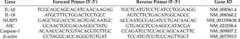 Primers Sequence For Rt Pcr Assay Download Scientific Diagram