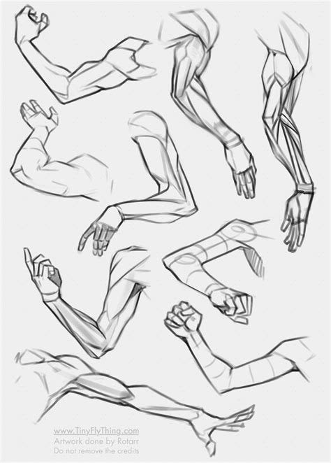 Female Arm Reference