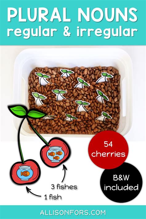 Regular And Irregular Plural Nouns Speech Therapy Sensory Bin Plural Nouns Activities Nouns