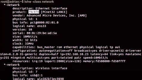 Resolving No Wifi Adaptor Found Error In Ubuntu Veeble Hosting