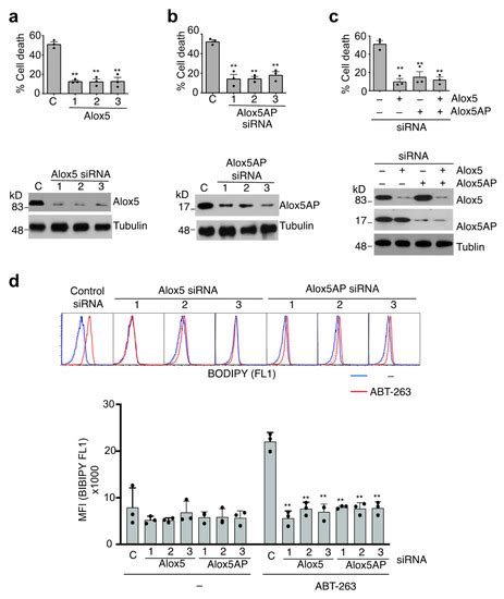 Cells Special Issue Systems Biology Of Apoptotic And Non Apoptotic Signaling
