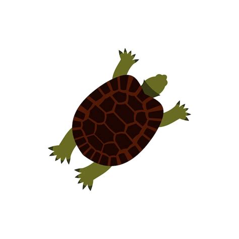 Premium Vector Turtle Icon In Flat Style Isolated On White Background