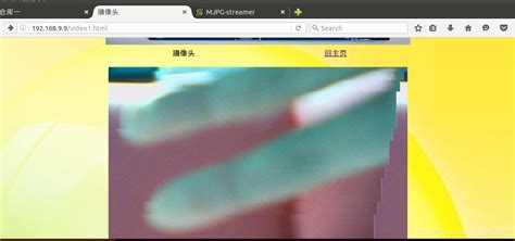 Mjpeg Streamer视频图像的显示 Csdn博客