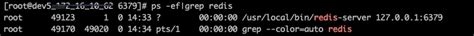 Redisredis Redis Cli