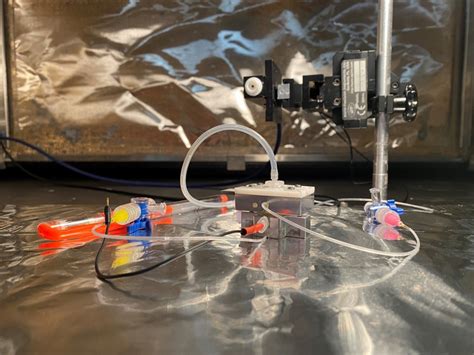Nanopore Based Sensing Device Explores Neurod Eurekalert