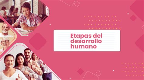 Etapas Del Desarrollo Humano Transforma Edu