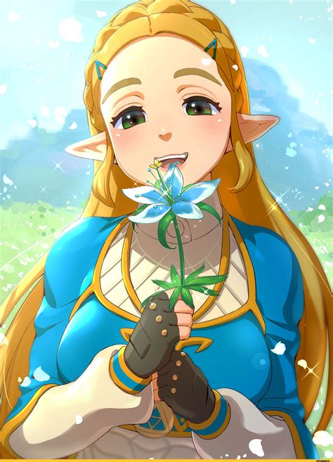 Zelda Breath Of Wild Legend Of Zelda Breath Breath Of The Wild Manga