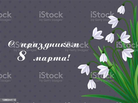 8 3 월 귀여운 카드입니다 러시아 국제 여성의 날입니다 Snowdrops 꽃입니다 Galanthus 벡터 일러스트 레이 션 봄