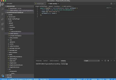 Streamline Your Flex Plugin And Functions Development Using Vs Code