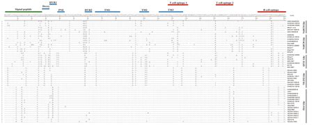 Amino Acid Sequence Alignment Of Gp5 Protein Download Scientific Diagram