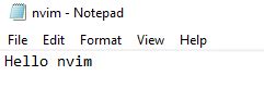 How To Install Neovim NVIM On Windows