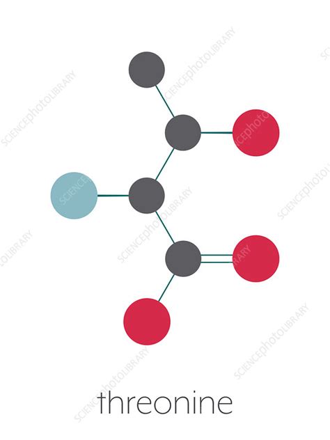 Threonine Amino Acid Molecule Illustration Stock Image F0279601