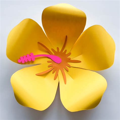 Hibiscus Paper Flower Template