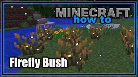 Everything You Need To Know About The Firefly Bush 1215 Easy