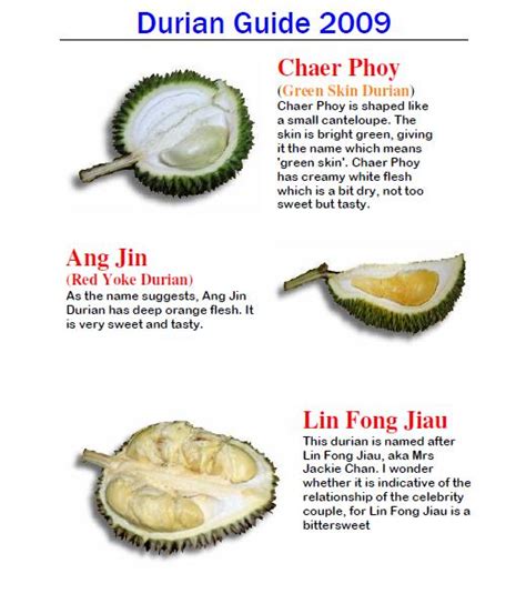 Scooby S Noteboard Durians Scooby S Noteboard Durians