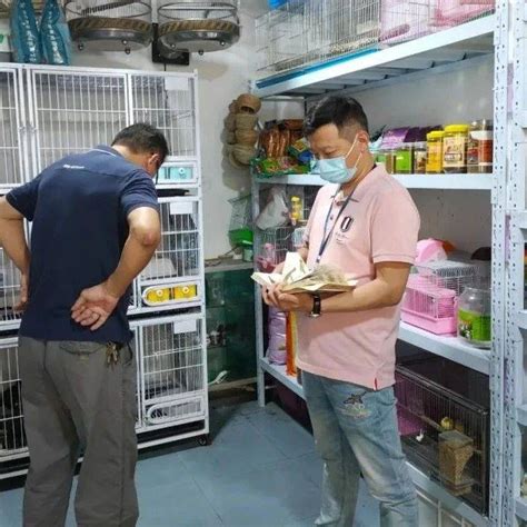 【警示】顶风作案！一宠物店倒卖国家重点保护野生动物被抓现行！相思鸟