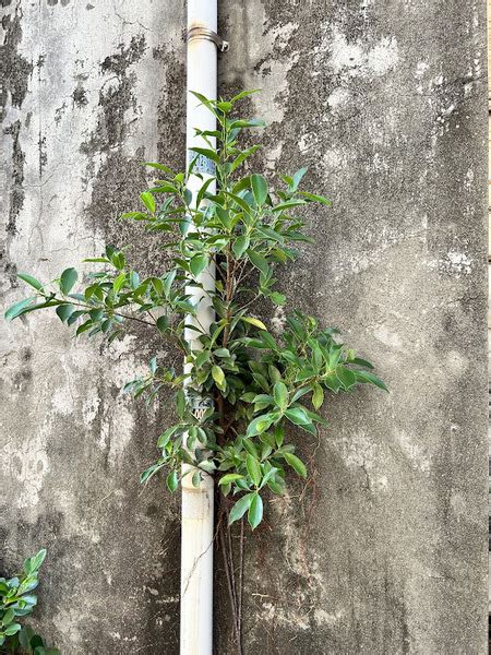 7成台灣人月薪不到5萬！主計處公布「4大職業」薪資最低 寒冬飲水部落格 Udn部落格