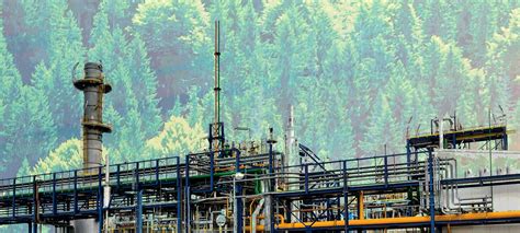 Sci Candi Issue 10 2023 Green Catalysts Catalysing Sustainability