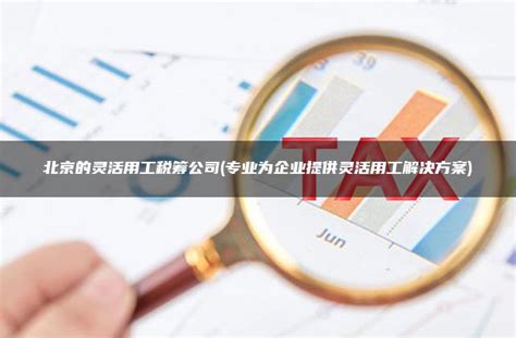 北京的灵活用工税筹公司专业为企业提供灵活用工解决方案 灵活用工平台